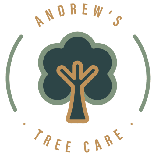Expert Arborists in Tasmania | Andrew's Tree Care